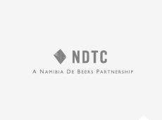 Vacancies by NDTC - Working.co.na